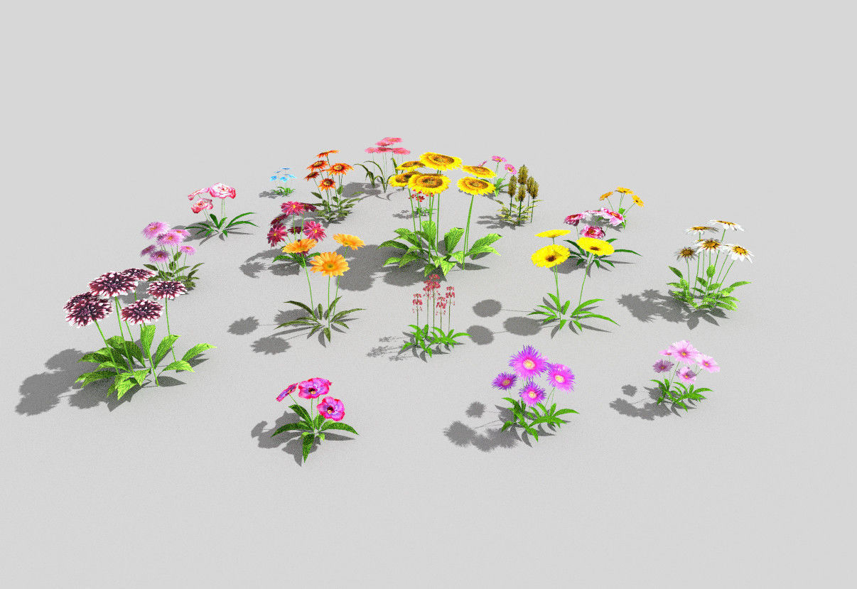 3D model 20 low poly flowers pack VR / AR / low-poly | CGTrader