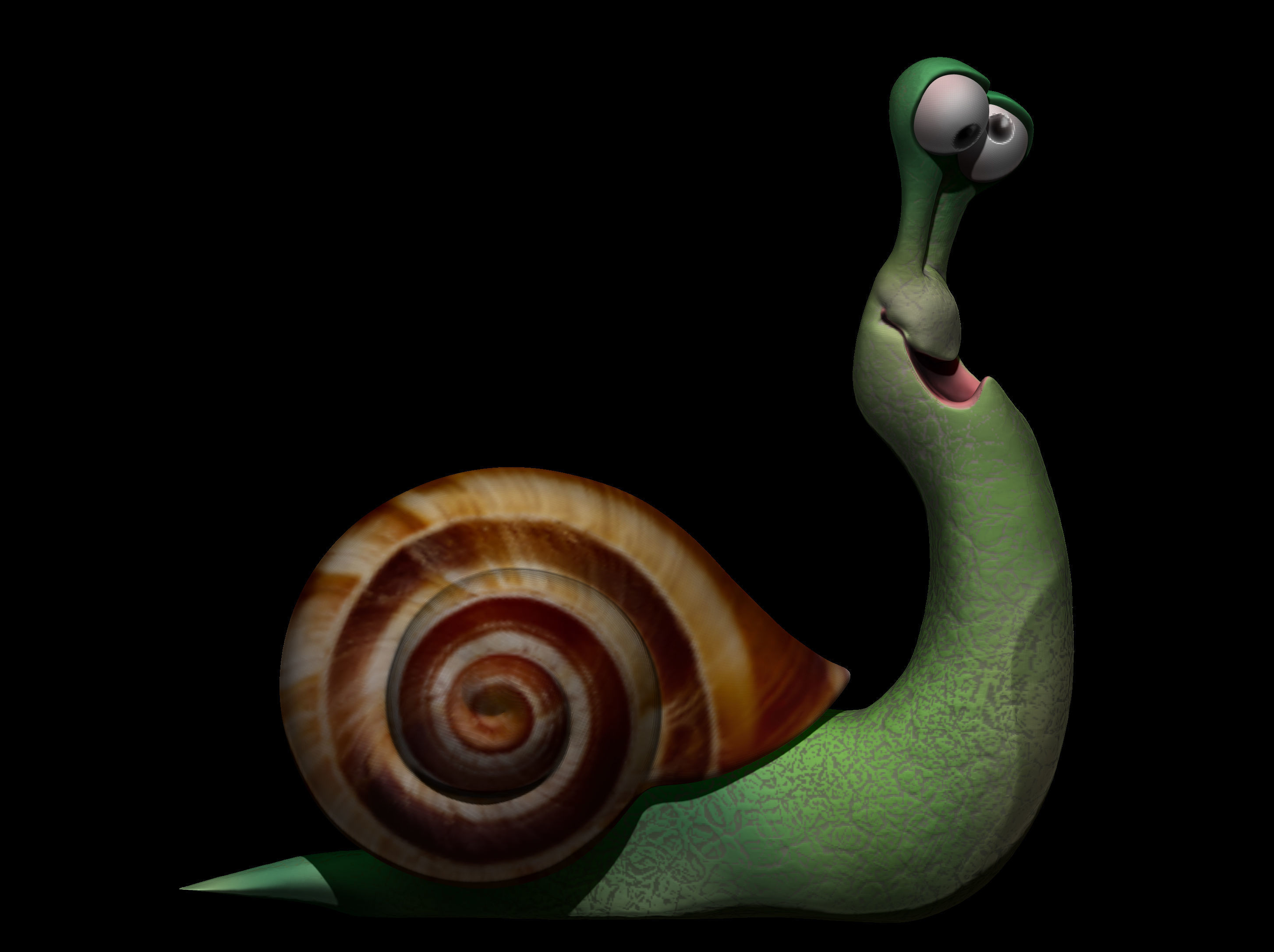 Caracol Loco free 3D model | CGTrader