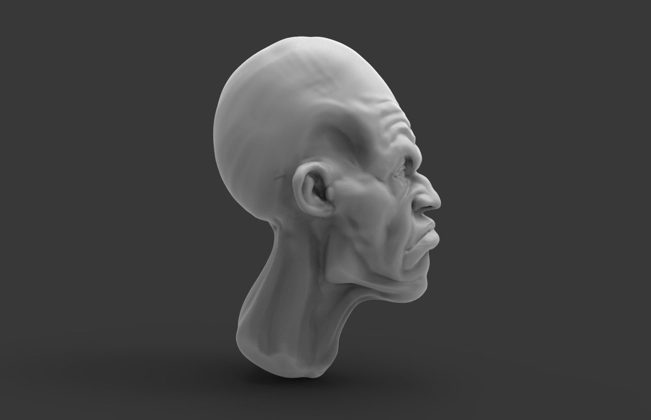Big Head 3D model | CGTrader