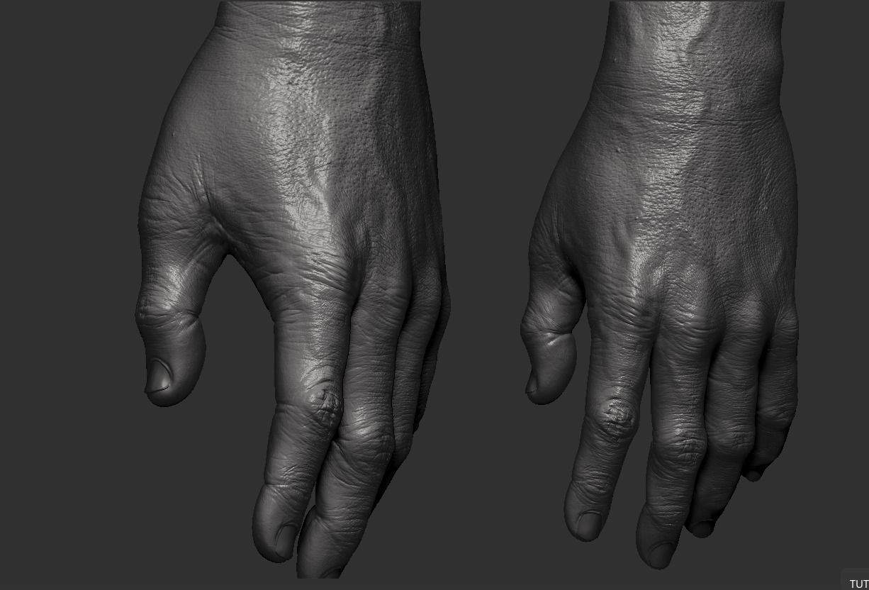 Hand Zbrush Realistic 3D model | CGTrader