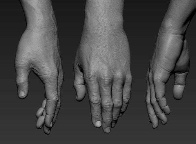 Hand Zbrush Realistic 3D model | CGTrader