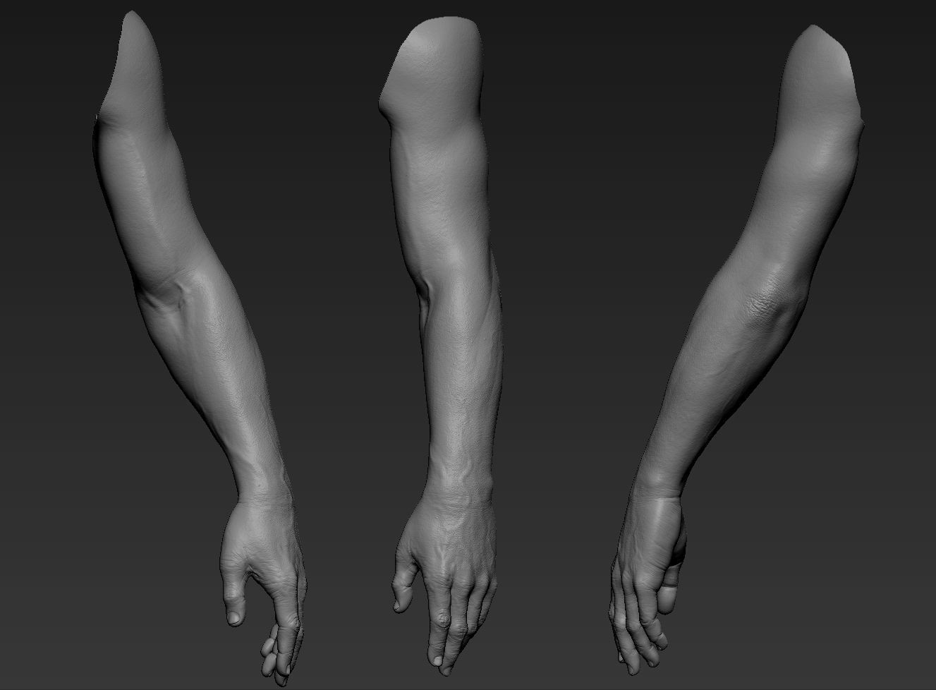 Hand Zbrush Realistic 3D model | CGTrader