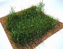 Grass 3D Models | CGTrader