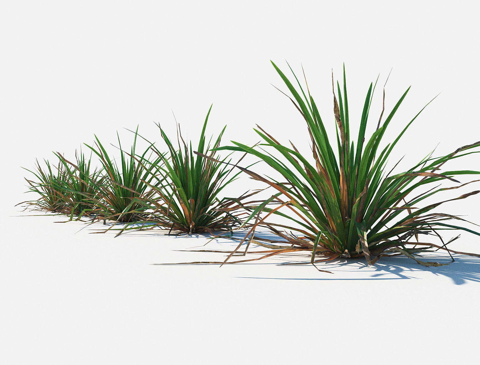 3D model Simple grass VR / AR / low-poly | CGTrader