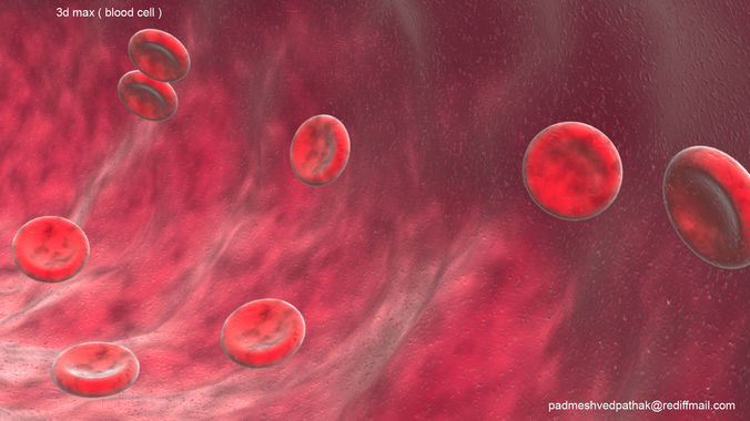 rbc blood cell 3D model | CGTrader