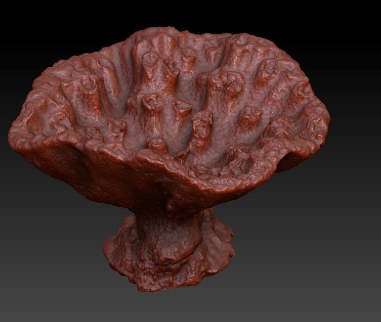 Sea Coral Scan 1 3D model | CGTrader