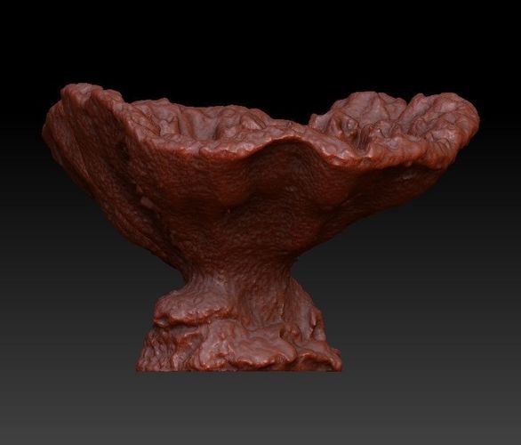 Sea Coral Scan 1 3D model | CGTrader