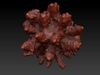 Sea Coral Scan 2 3D model | CGTrader