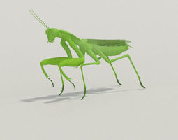 Mantis 3D Models | CGTrader
