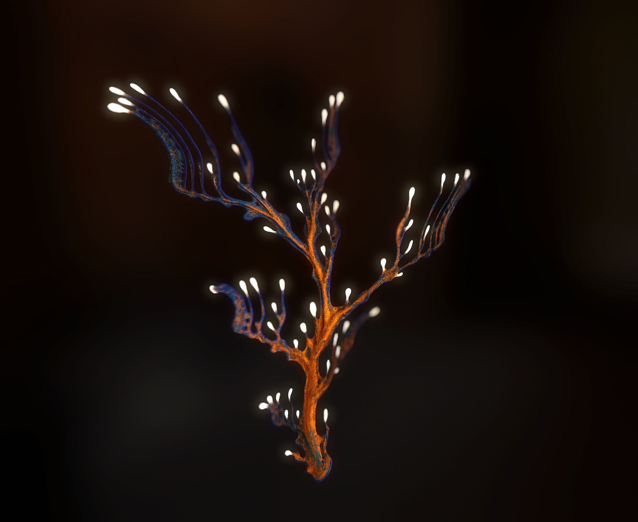 3D model Alien Plant Fern Type 5 VR / AR / low-poly | CGTrader