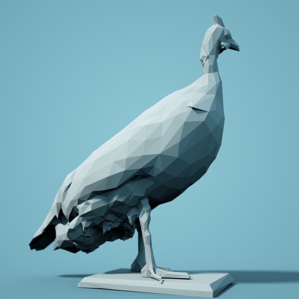 3D model Bird Collection V1 Low Poly Models VR / AR / low-poly | CGTrader