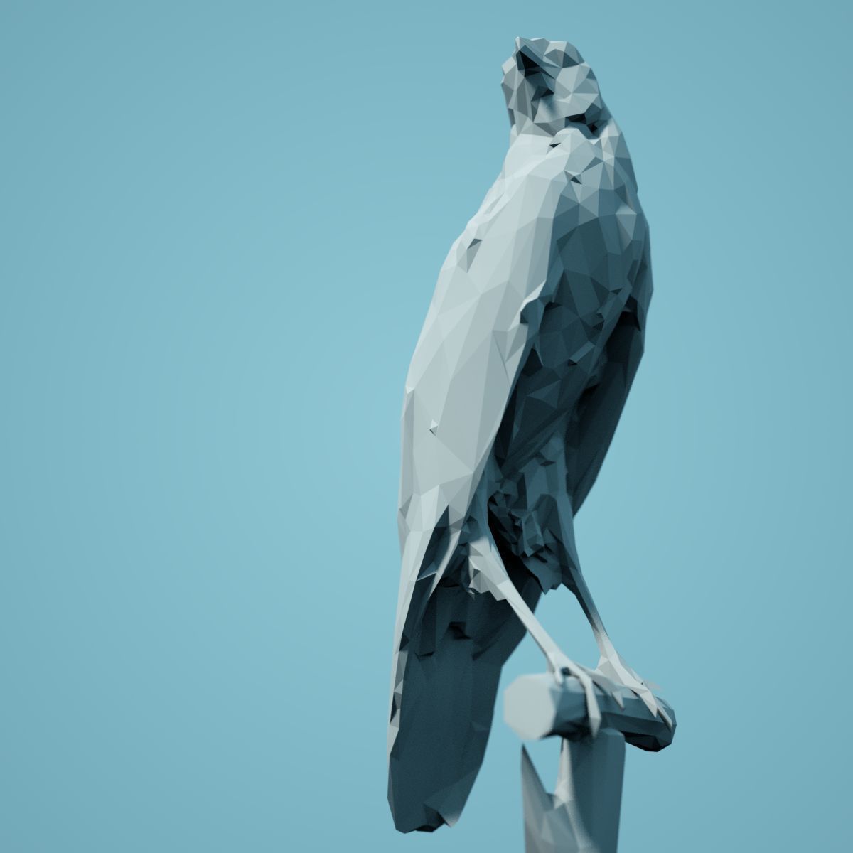 3D model Bird Collection V2 Low Poly Models VR / AR / low-poly | CGTrader