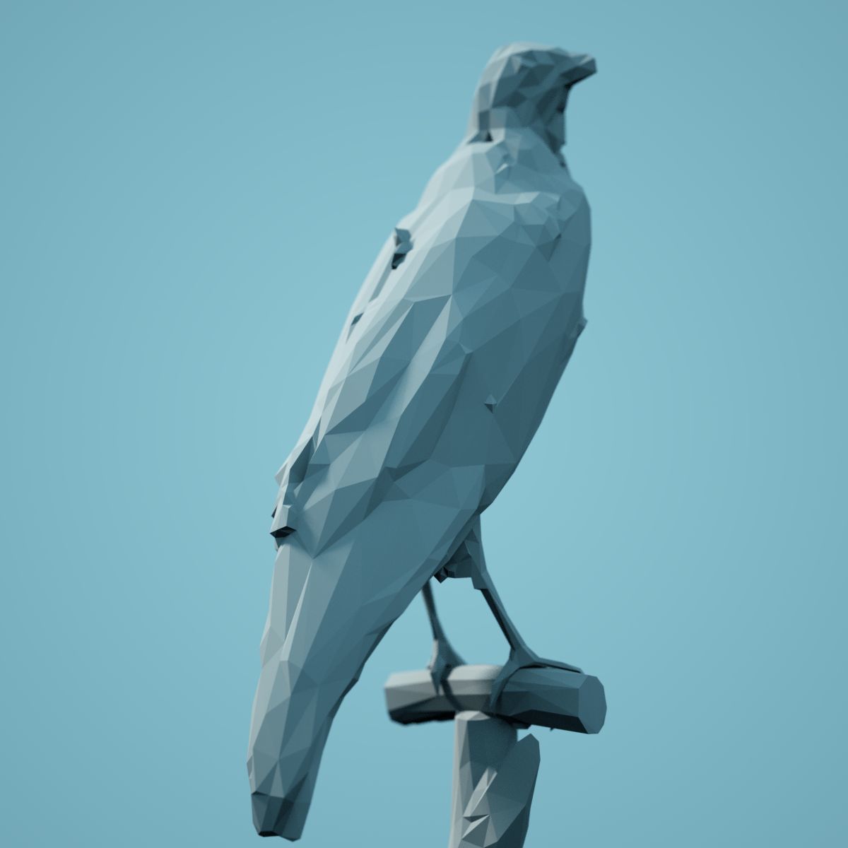 3D model Bird Collection V2 Low Poly Models VR / AR / low-poly | CGTrader