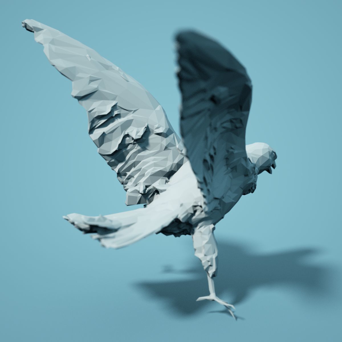 3D model Bird Collection V2 Low Poly Models VR / AR / low-poly | CGTrader
