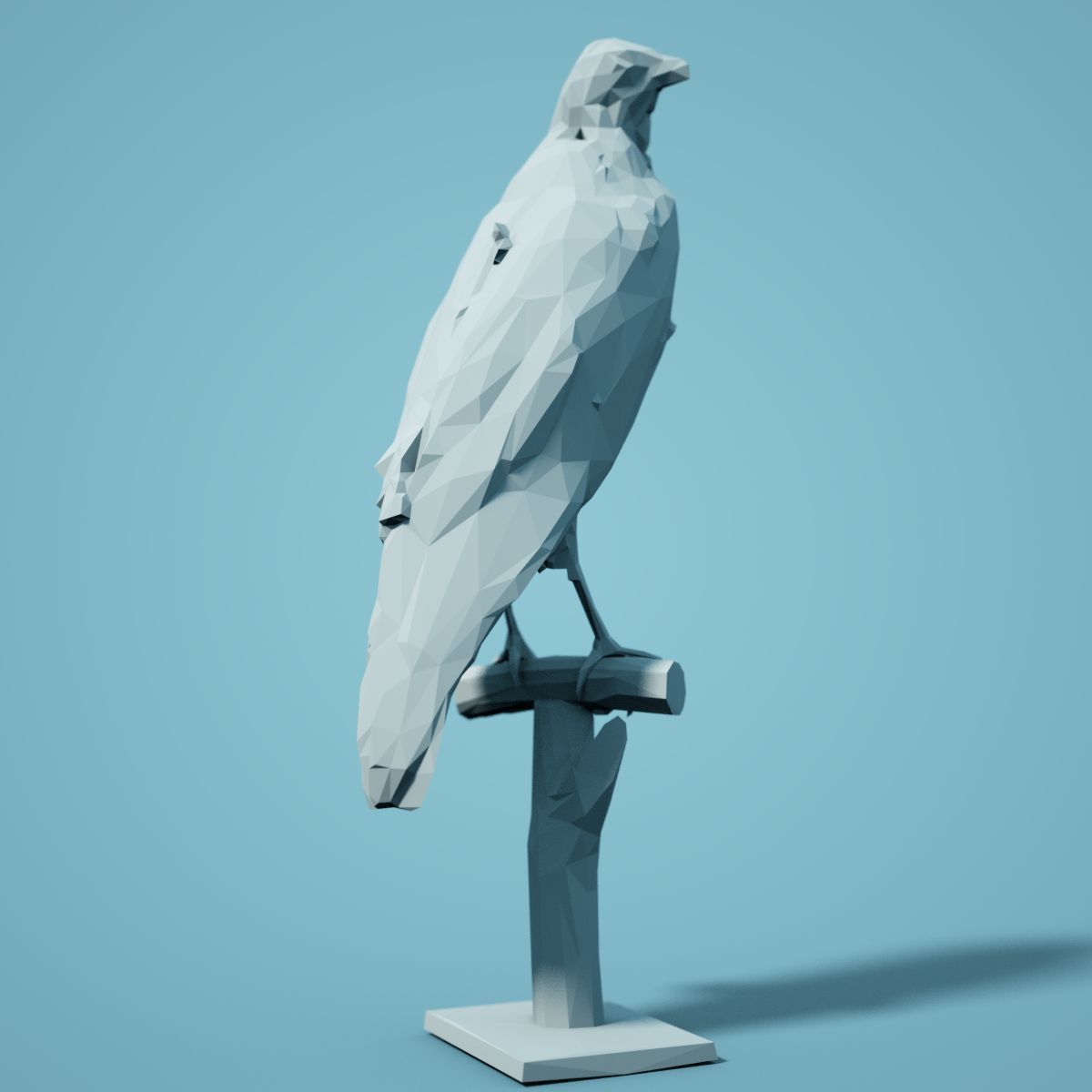 3D model Bird Collection V2 Low Poly Models VR / AR / low-poly | CGTrader