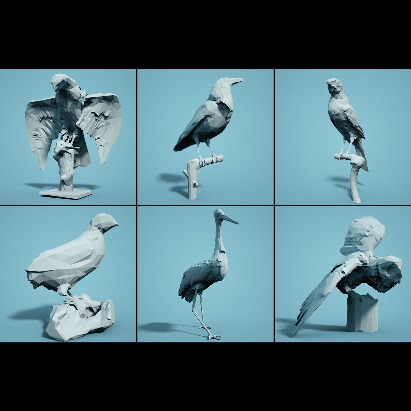 3D model Bird Collection V3 Low Poly Models VR / AR / low-poly | CGTrader