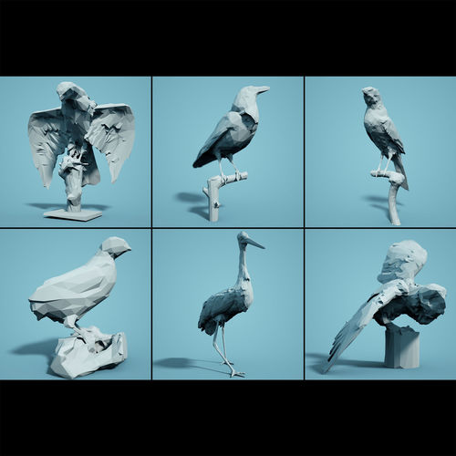 3D model Bird Collection V3 Low Poly Models VR / AR / low-poly | CGTrader