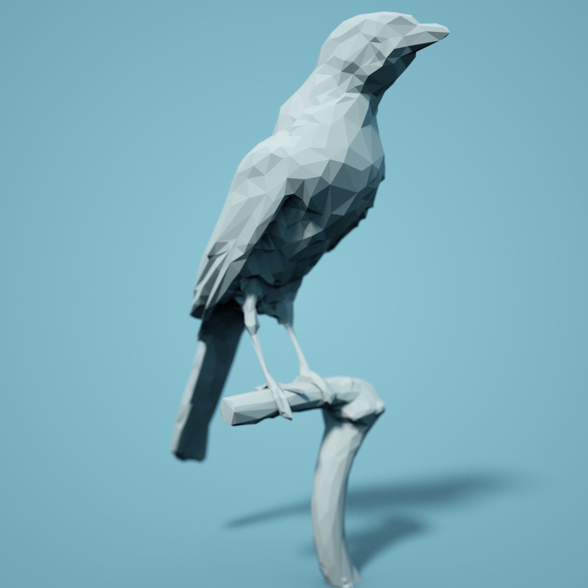 3D model Bird Collection V3 Low Poly Models VR / AR / low-poly | CGTrader