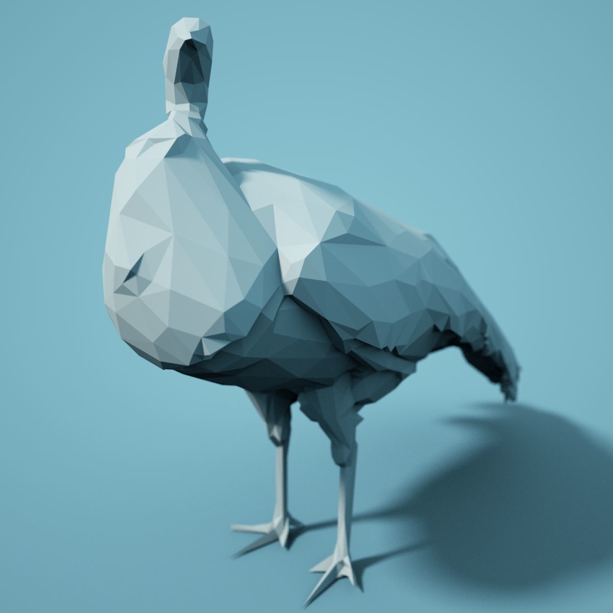 3D model Low Poly bird Collection VR / AR / low-poly | CGTrader