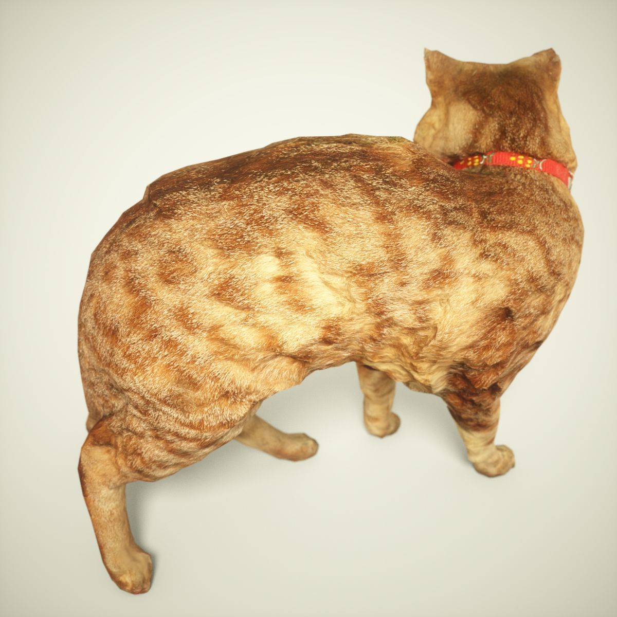 3D model Cat Photorealistic Posed VR / AR / low-poly | CGTrader