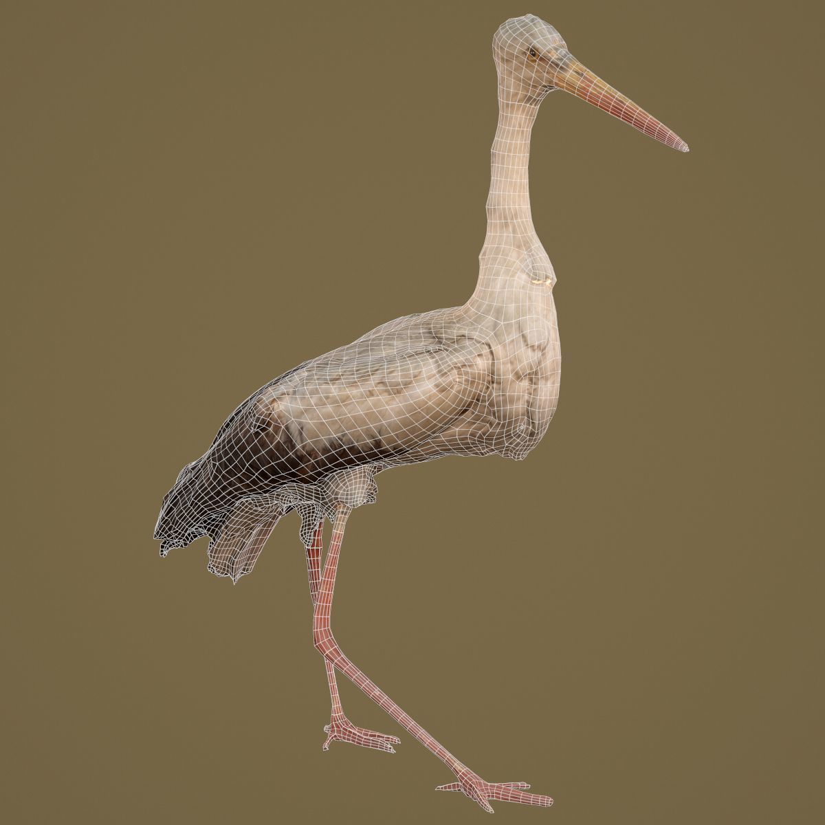 3D model Stork Photorealistic Posed VR / AR / low-poly | CGTrader