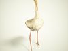 3D model Stork Photorealistic Posed VR / AR / low-poly | CGTrader