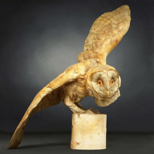3D model Owl Photorealistic Posed VR / AR / low-poly | CGTrader
