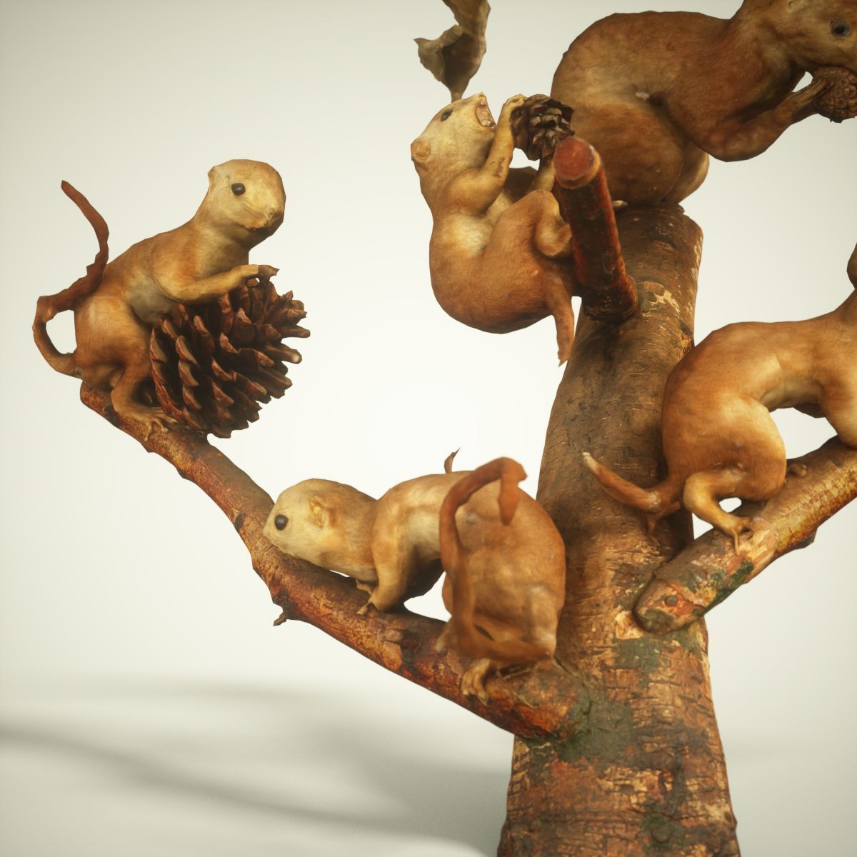 3D model 36 Animal Models Master Collection VR / AR / low-poly | CGTrader