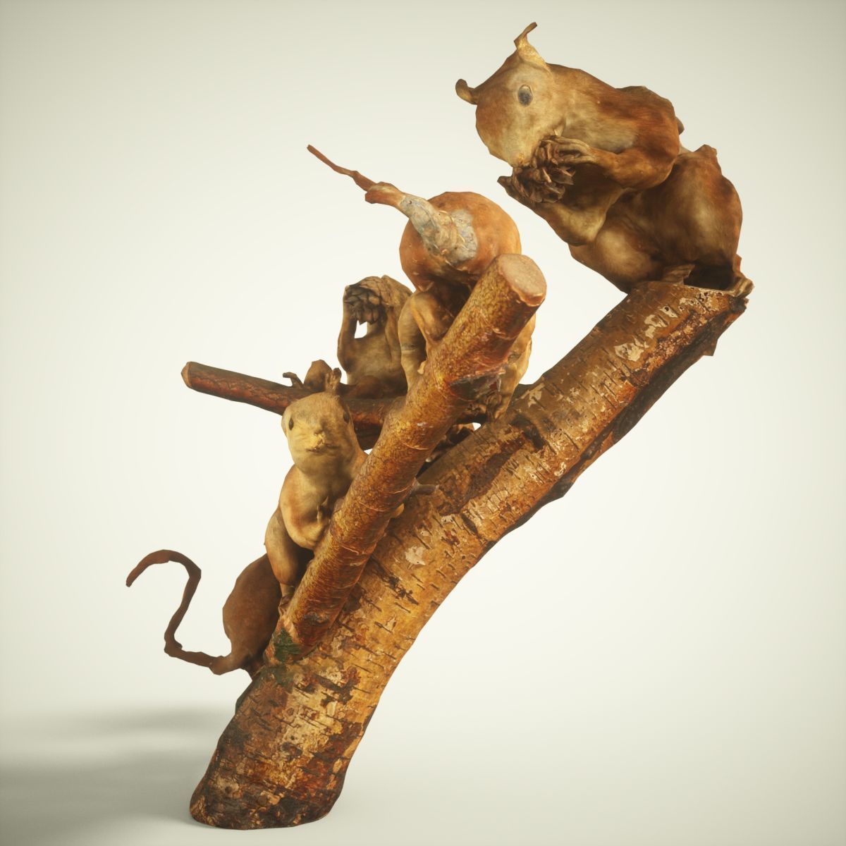 3D model 36 Animal Models Master Collection VR / AR / low-poly | CGTrader