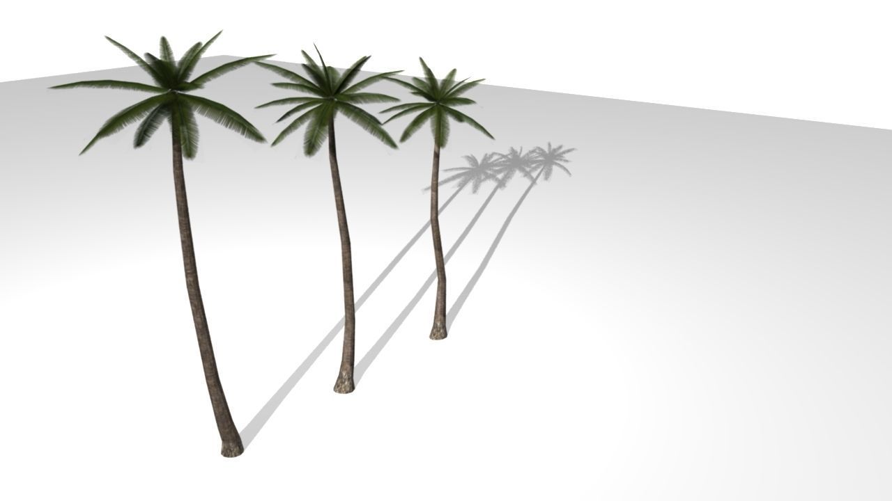 3D model Lowpoly Coconut Tree VR / AR / low-poly | CGTrader