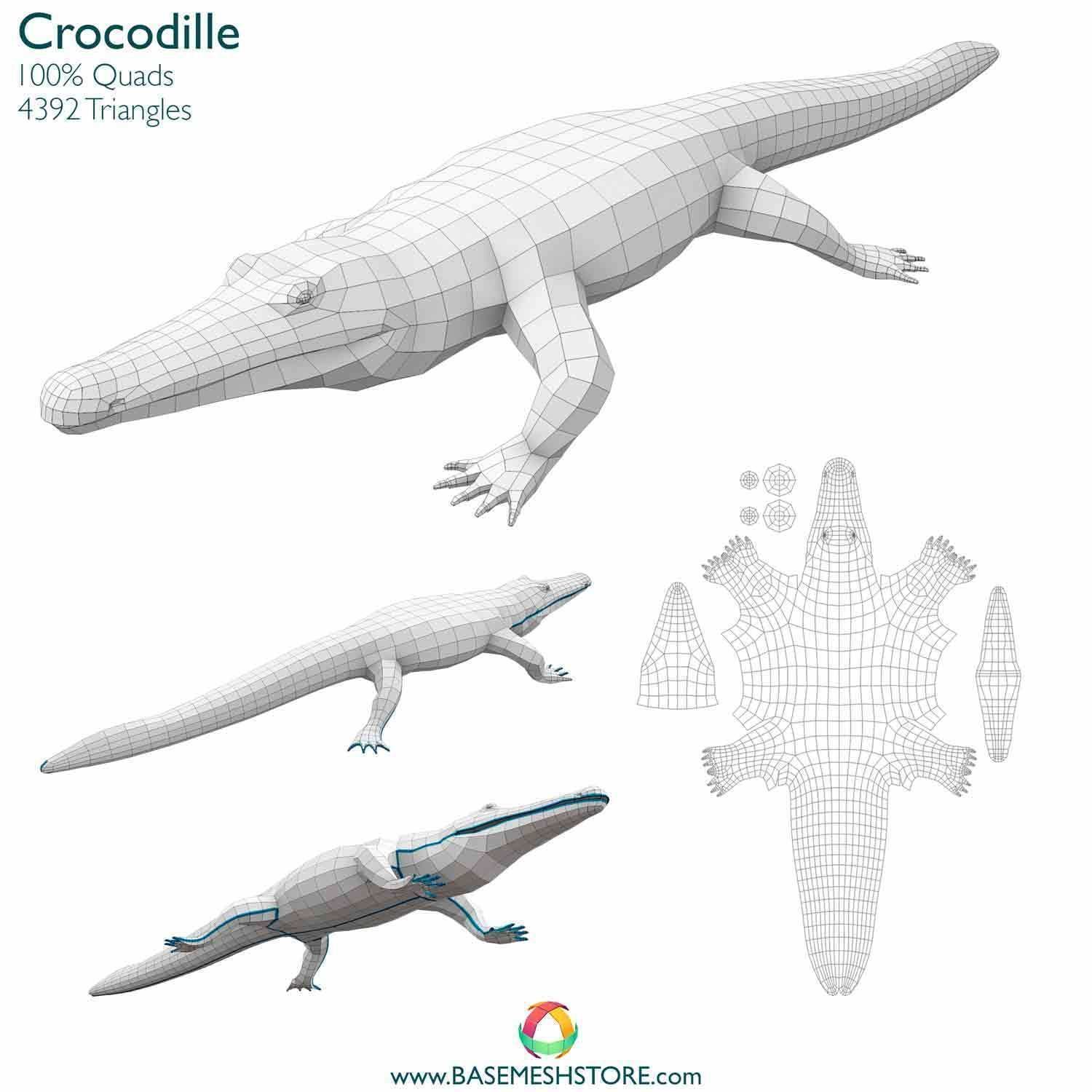 3D model 32 Animals Base Meshes VR / AR / low-poly | CGTrader