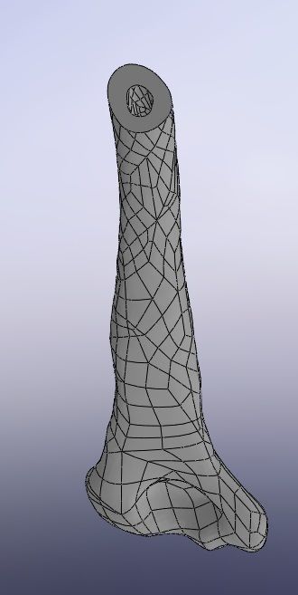 Humerus human bone based on CT 3D model 3D printable | CGTrader