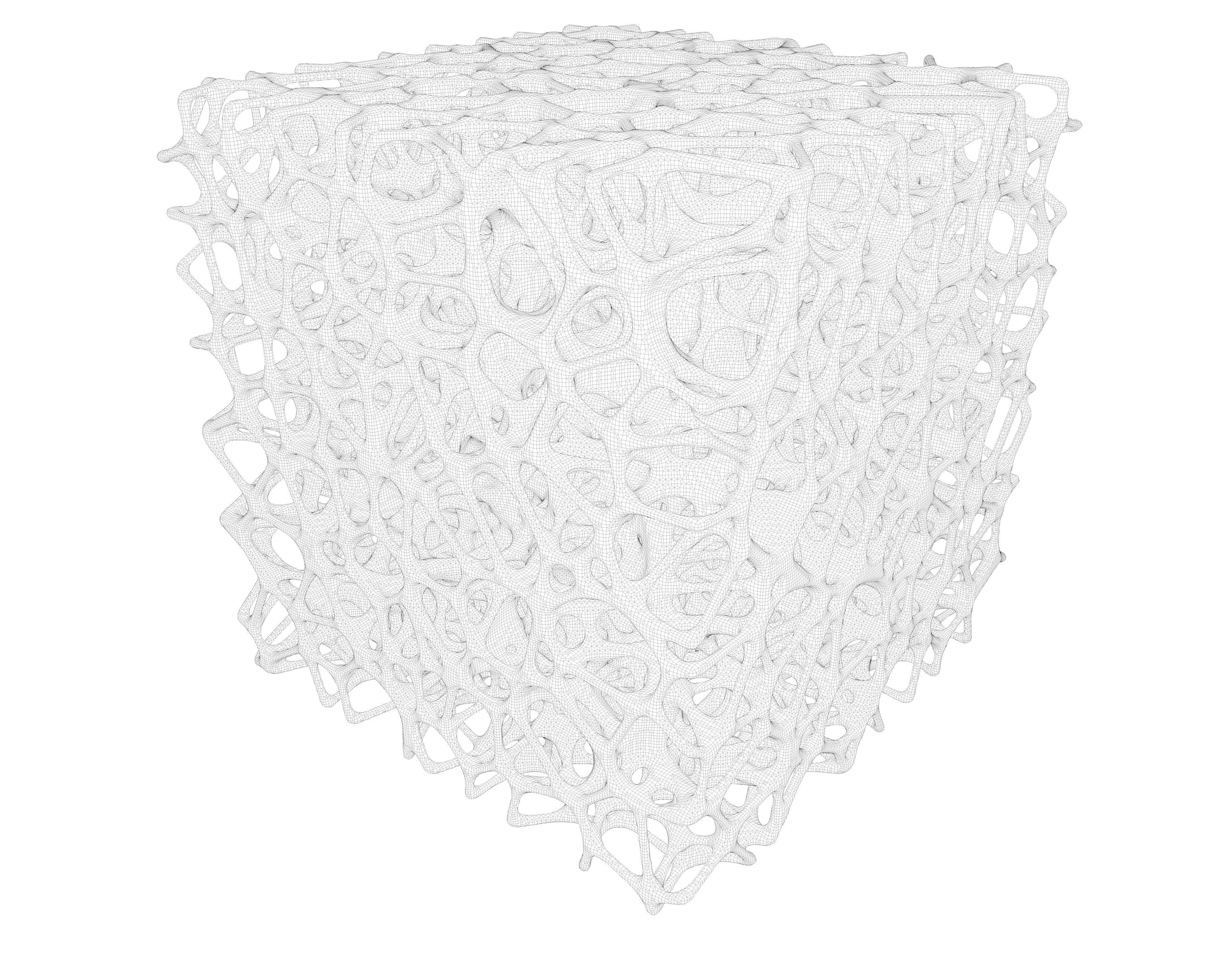 Bone Sponge Structure 3D model | CGTrader