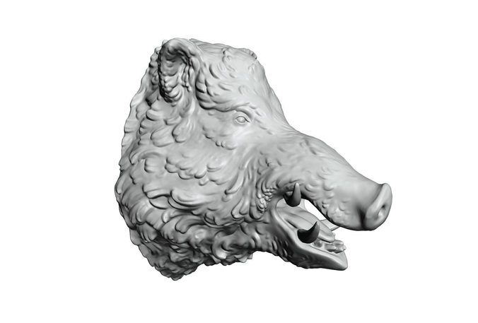 Boars head 2 3D model 3D printable | CGTrader