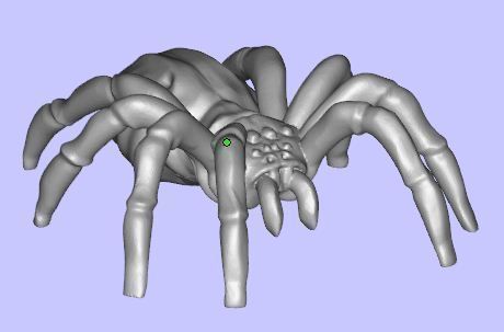 Spider free 3D model 3D printable | CGTrader