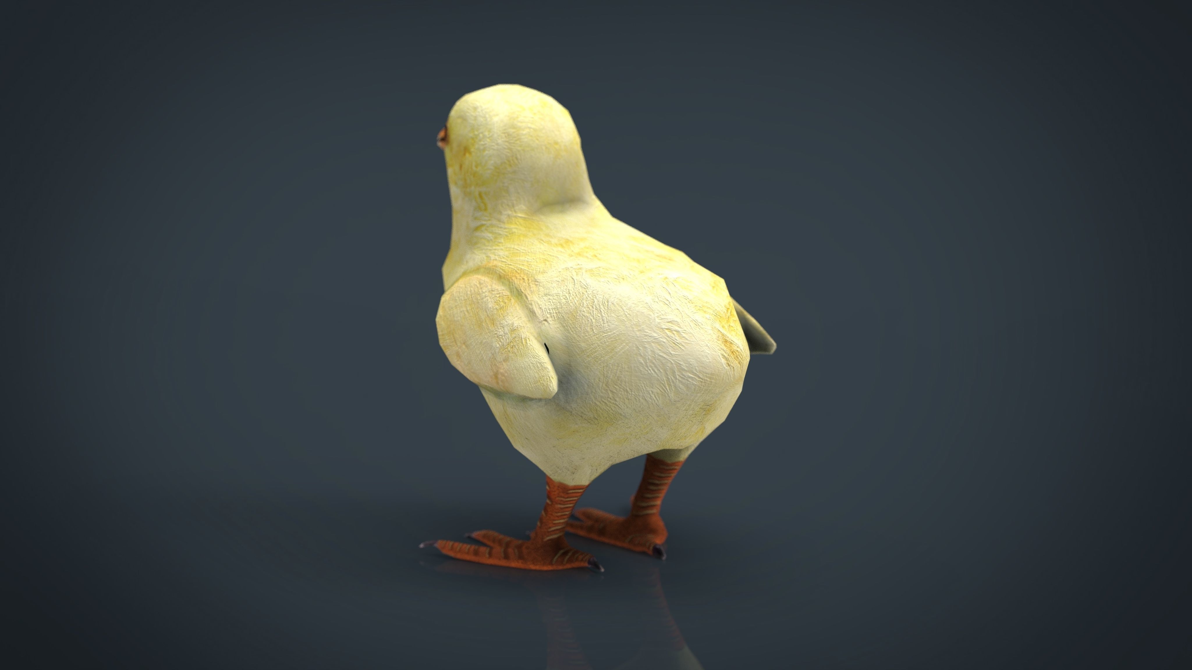 3D model Chick chicken VR / AR / low-poly | CGTrader