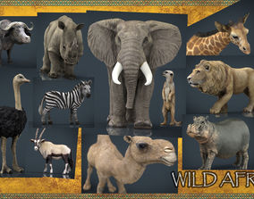 Wildlife 3D Models | CGTrader