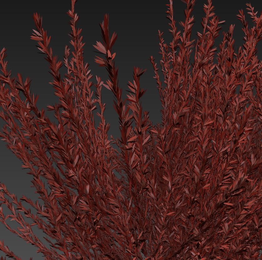 Pink-red heather 3D model | CGTrader