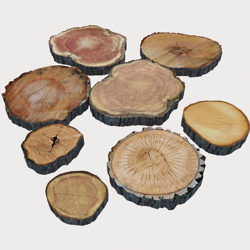 Wood Log Slices 3D model | CGTrader