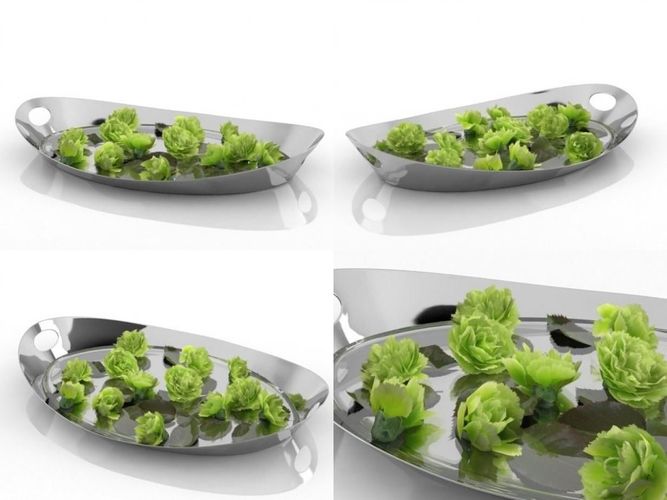 Carnations 02 3D model | CGTrader