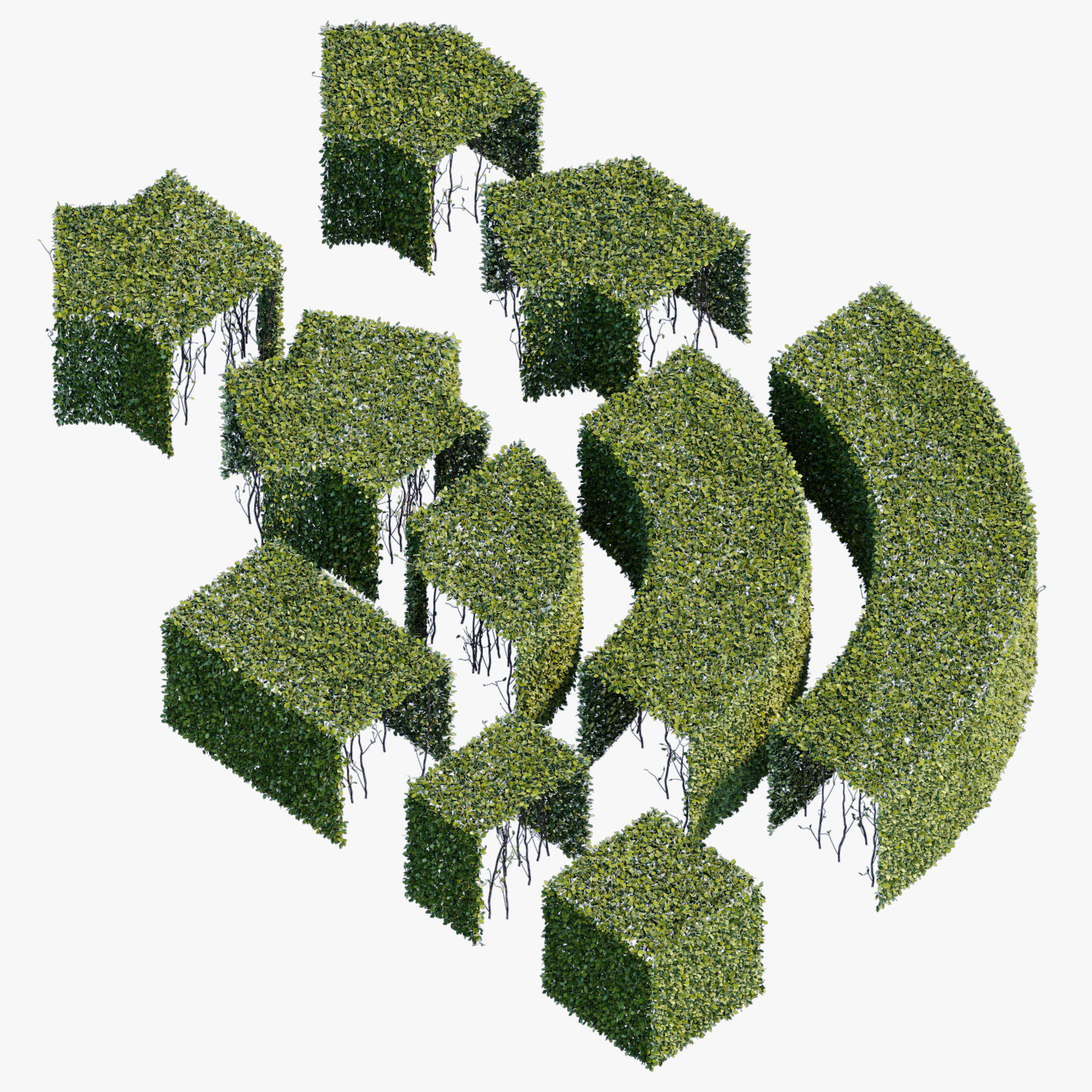 hedge collection 3D model | CGTrader