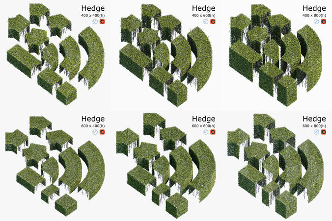 hedge collection 3D model | CGTrader