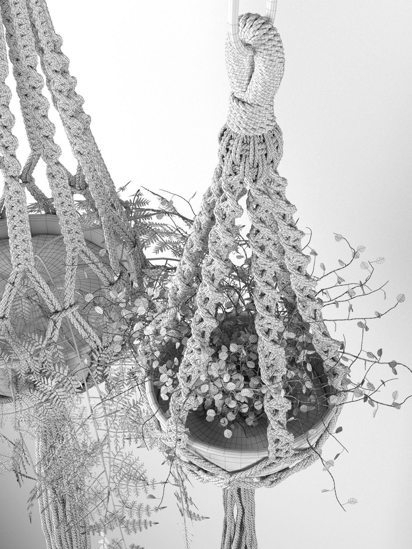 Macrame Hanging Pots with Plants 3D model | CGTrader