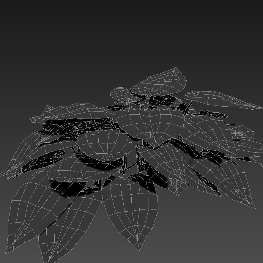 Hosta Blue Angel 3D model | CGTrader