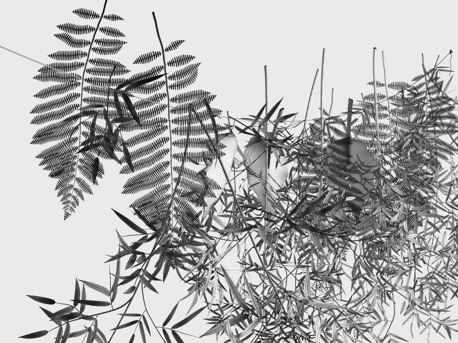 Hanging Plants on Rope 3D model | CGTrader