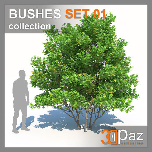 BUSHES SET 01 3D model | CGTrader