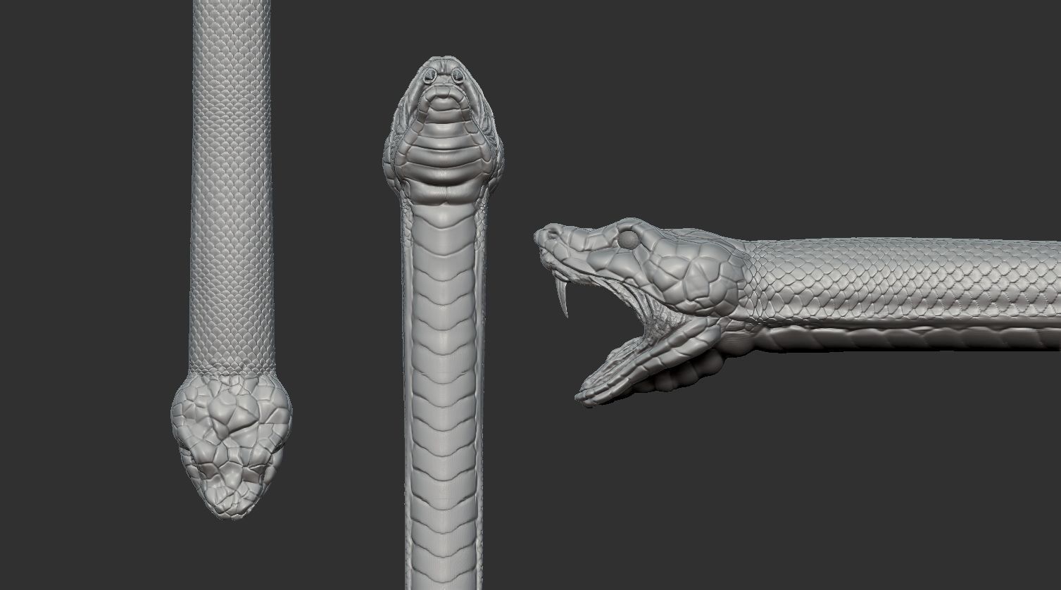 3D model snake head VR / AR / low-poly | CGTrader