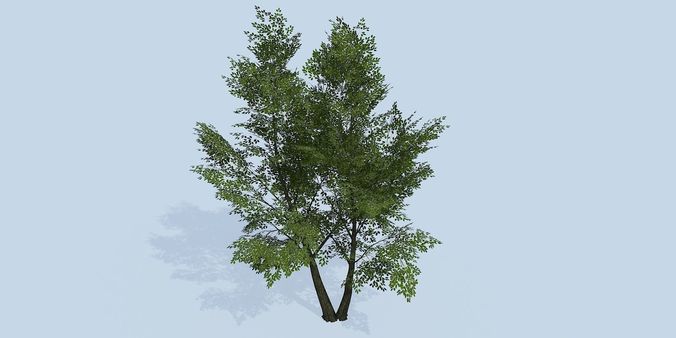 3D model Lowpoly 3Dmodel tree VR AR game 3LOD number48 VR / AR / low ...