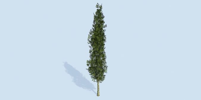 3D model Lowpoly 3Dmodel tree VR AR game 3LOD number67 VR / AR / low ...