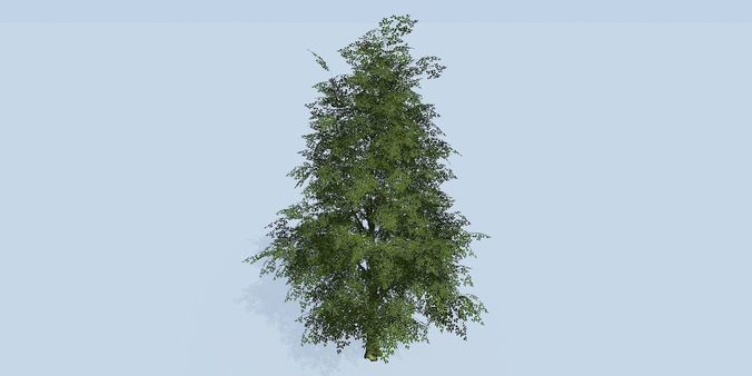 3D model Lowpoly 3Dmodel tree VR AR game 3LOD number75 VR / AR / low ...